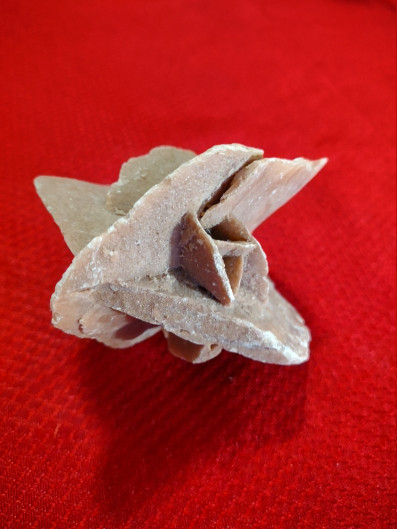 File:Chris Chan Rock Centerpiece.jpg - CWCki