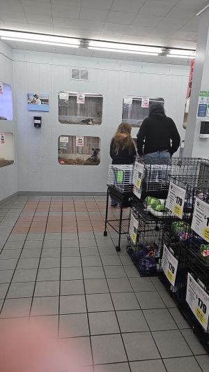 Sightings (2025) - CWCki